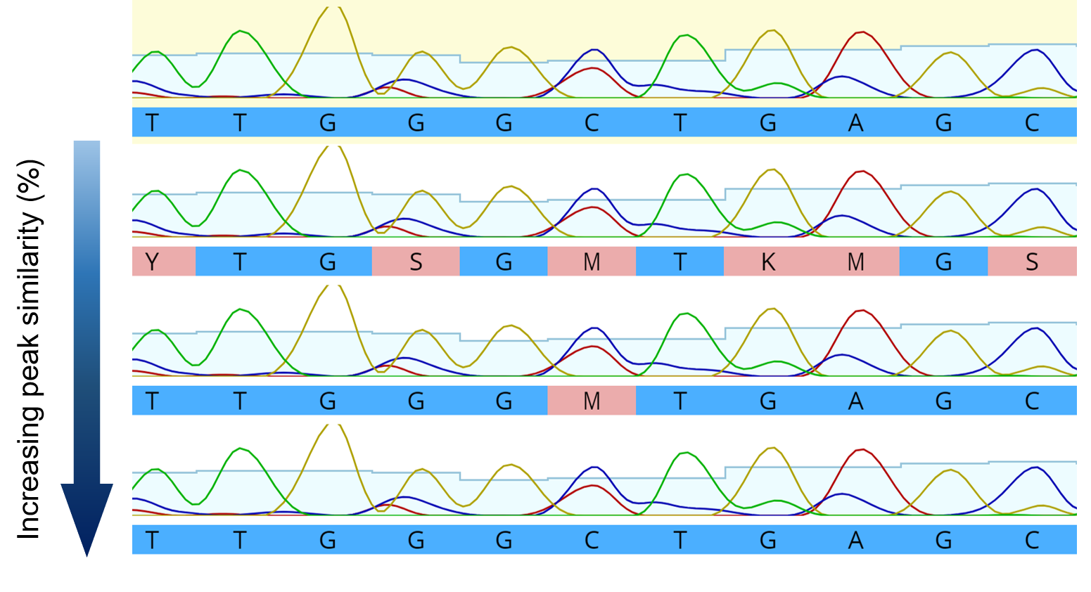 Finding and Calling Heterozygotes – Geneious Biologics Support